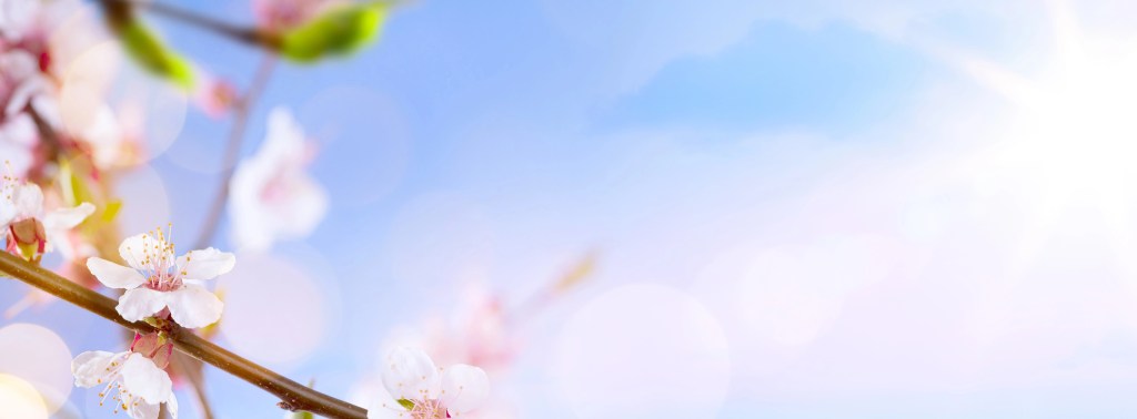 Spring Refresh Giveaway